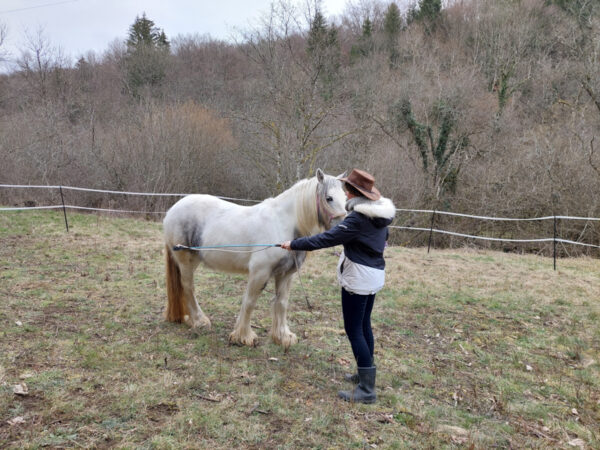 Les 7 jeux de Parelli | Three Horses