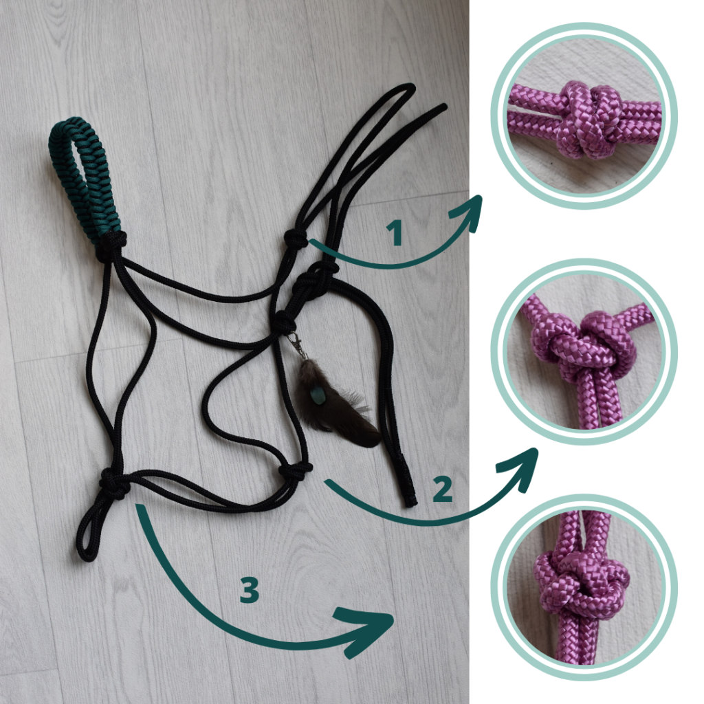 Three Horses : licols et matériel éthologique