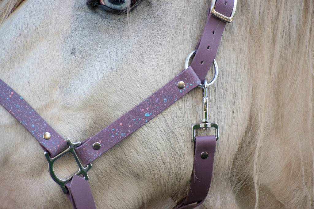 Licol plat en biothane avec éclats de peinture pour cheval de trait ...